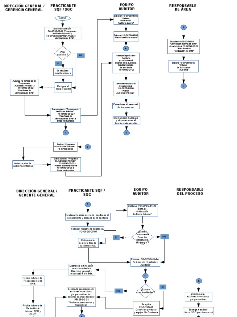 Diagrama de Flujo Auditoria Interna | PDF | Auditoría | Business