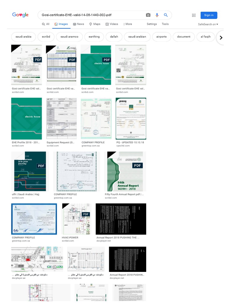 Gosi-certificate-EHE-valid-14-08-1440-002-pdf - بحث Google | PDF ...