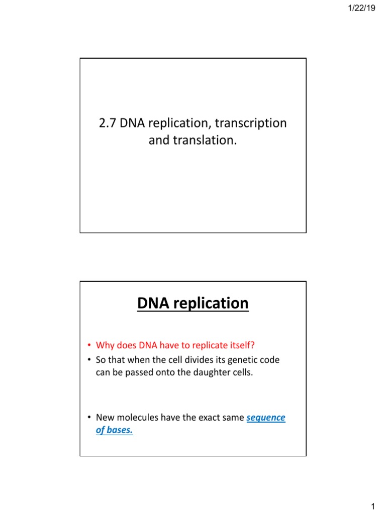 2.7 DNA Replication, Transcription and Translation | PDF | Operon ...