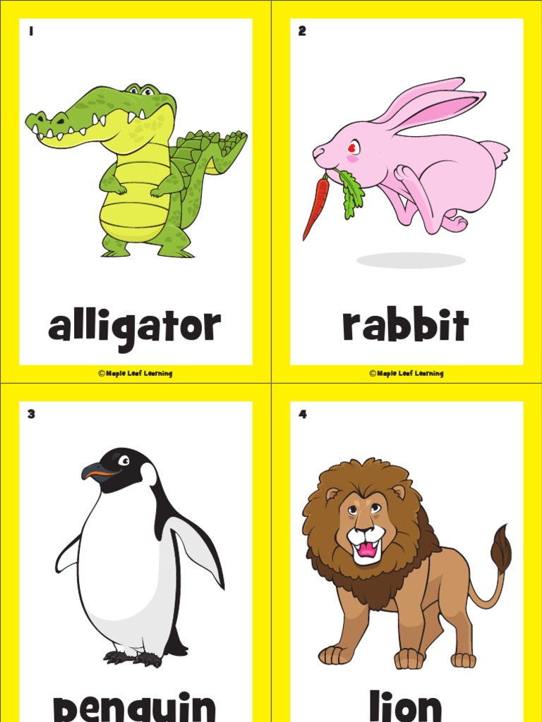 Zoo Animal Flashcards | PDF