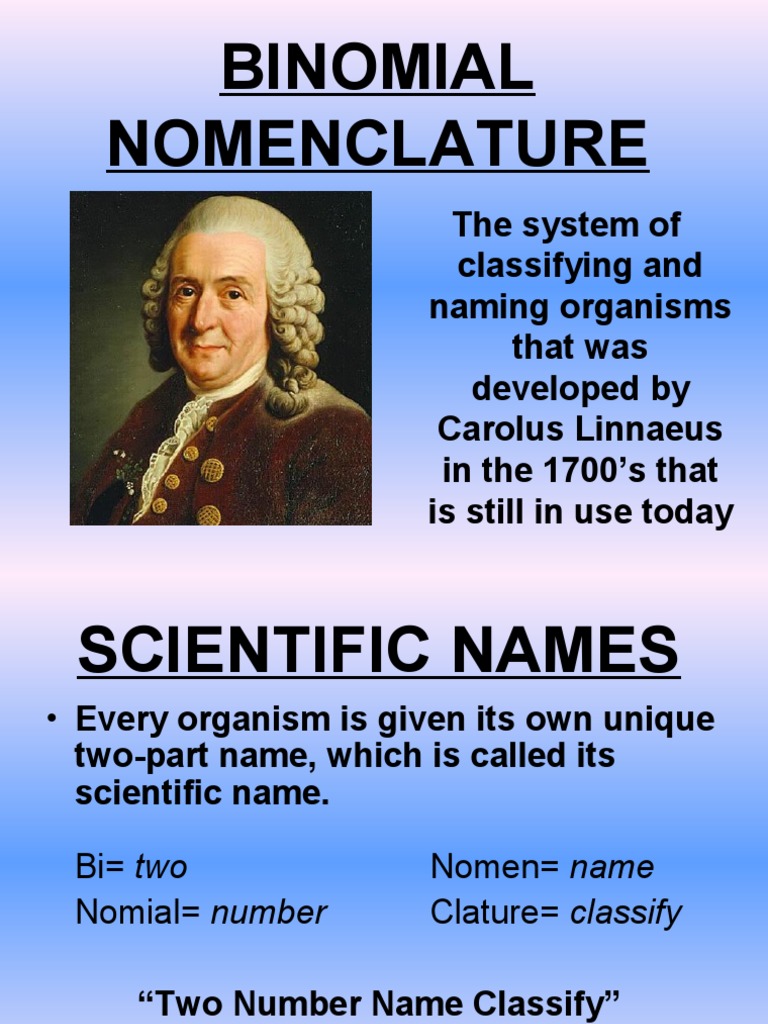 Binomial Nomenclature Examples Of Animals
