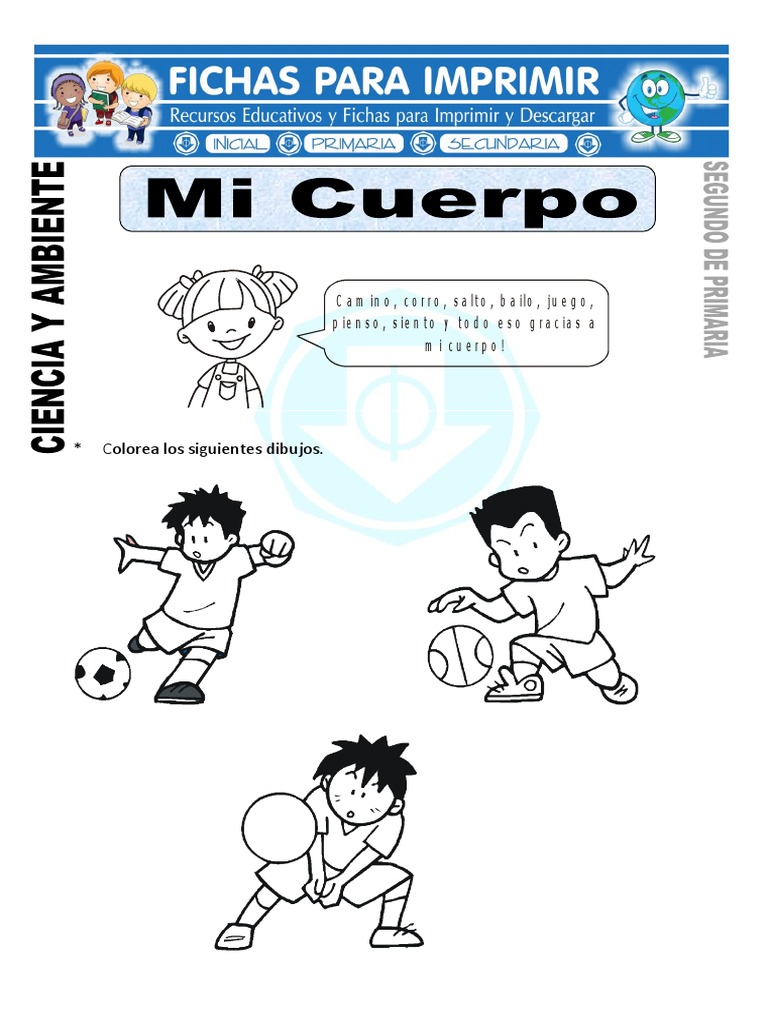 Ficha de Mi Cuerpo para Segundo de Primaria | PDF