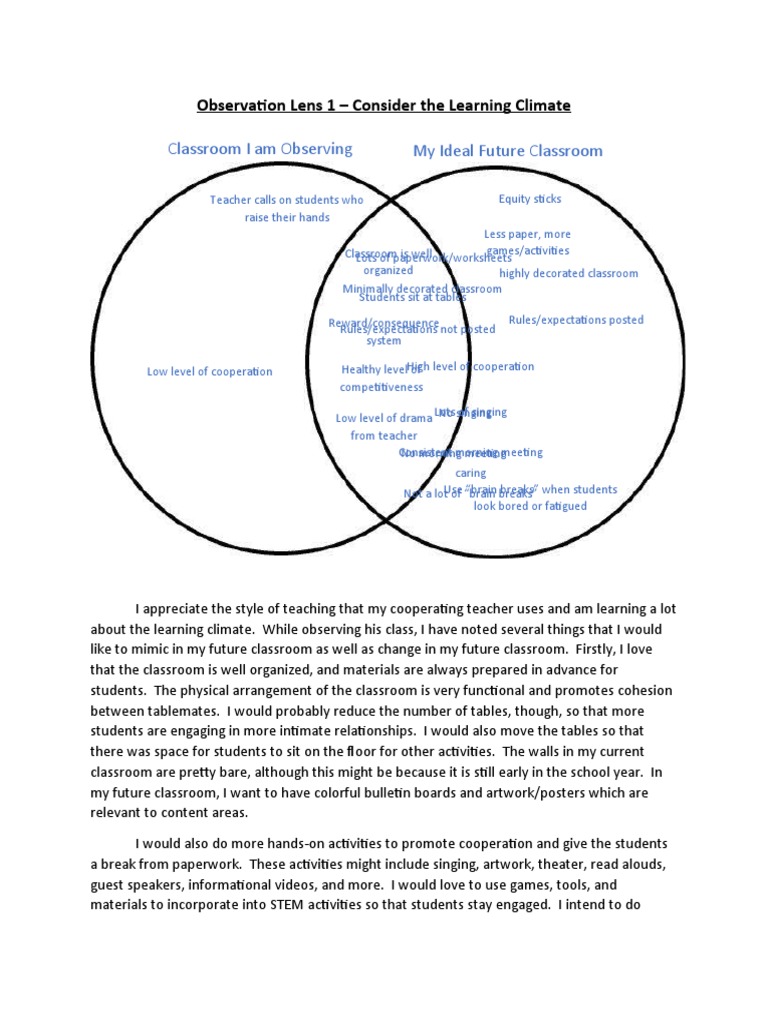 Observation Lenses 1-4 | PDF | Classroom | Classroom Management