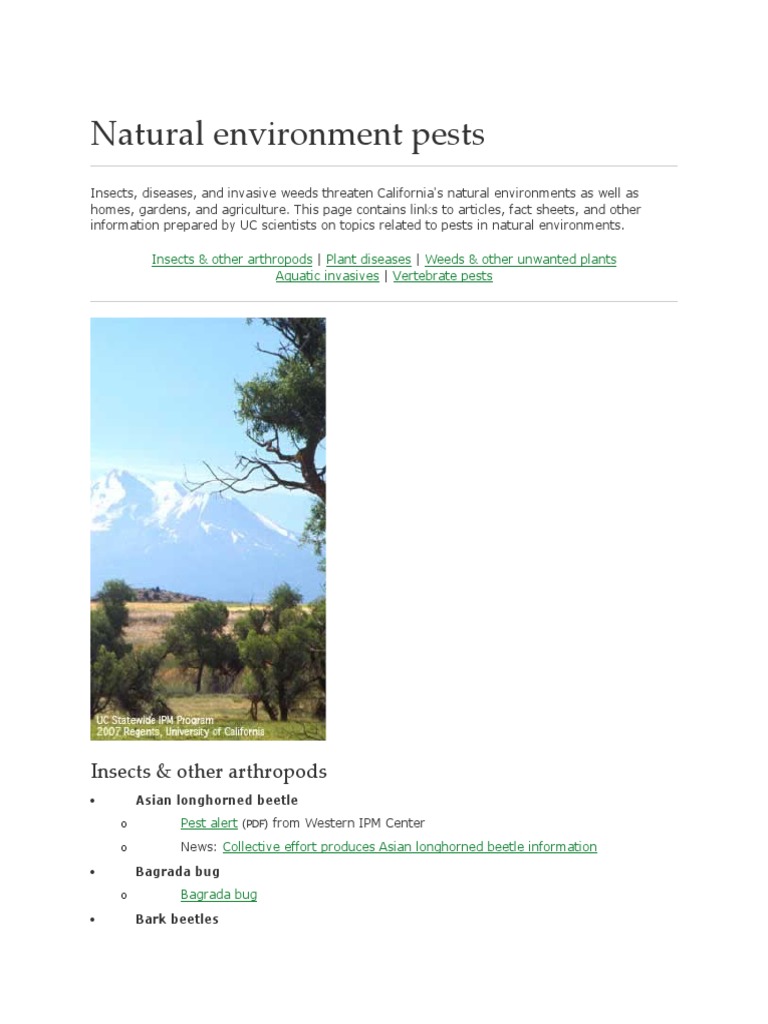 Hama Natural Environment | PDF | Invasive Species | Pesticide