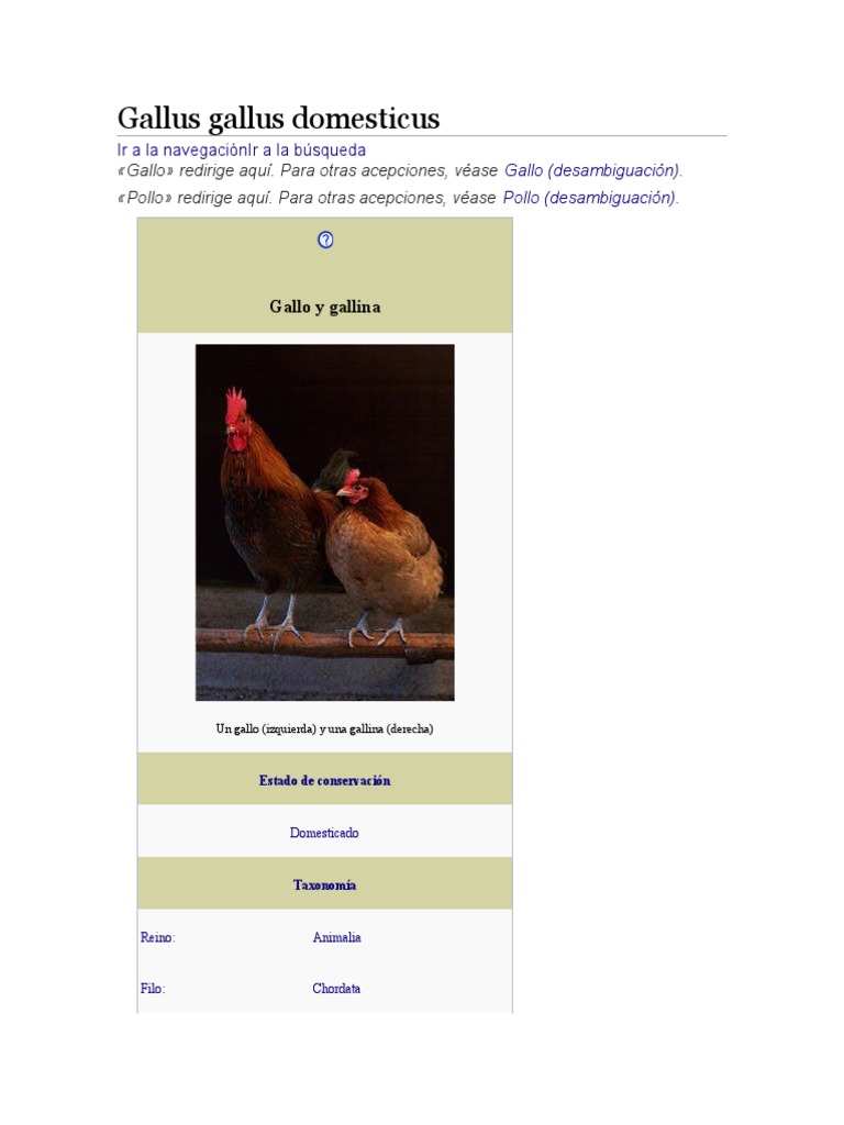 Gallus Gallus Domesticus | PDF | Pollo | Aves