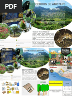 Ichu | PDF | Plantas | Horticultura y jardinería