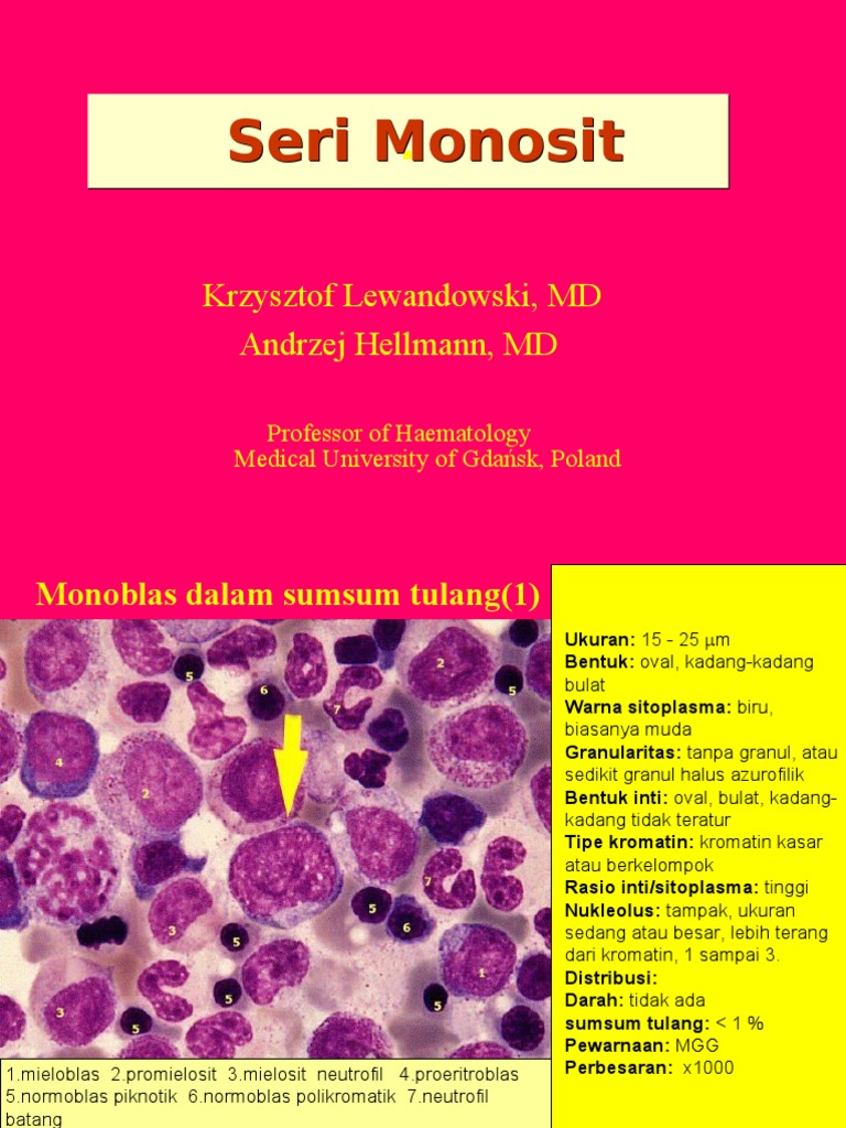 Monosit | PDF