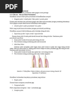 Macam - Macam Fungsi, Gambar, Teknik Alat Probe Periodontal, Probe ...
