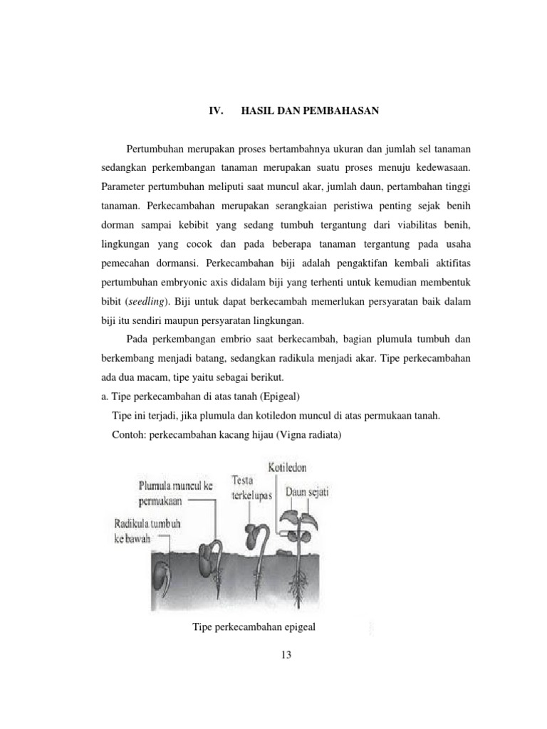 Tipe Perkecambahan: Epigeal dan Hipogeal | PDF