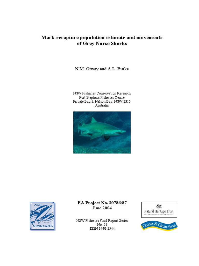 Shark Movement | PDF | Sharks | Scuba Diving