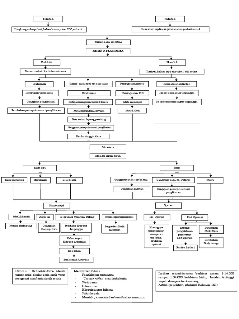 WOC RETINOBLASTOMA Fix | PDF