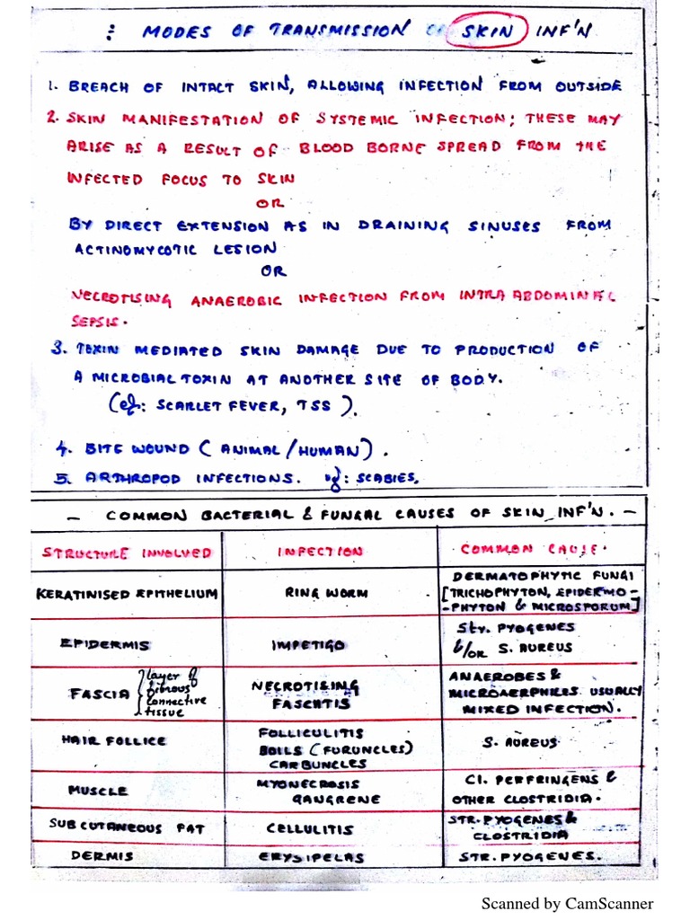 Pyogenic Infections | PDF