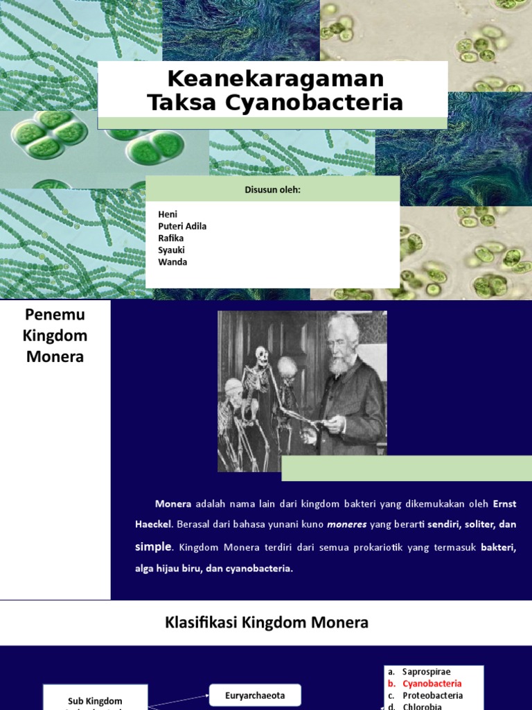 Keanekaragaman Taksa Cyanobacteria | PDF