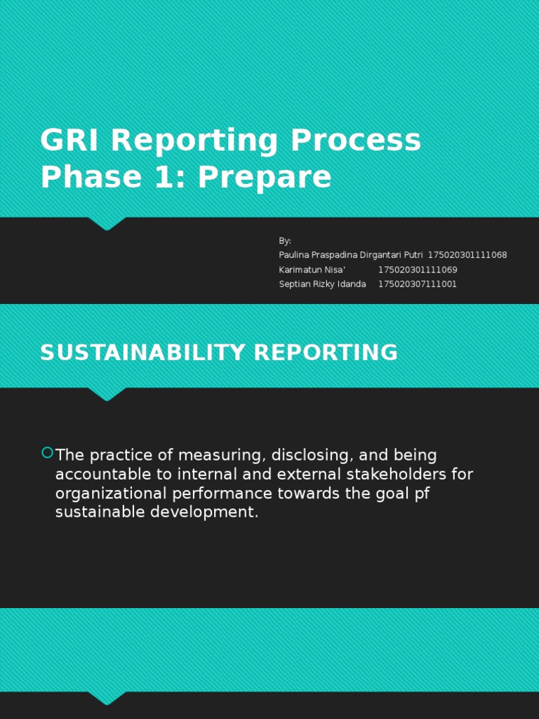 GRI Reporting Process Phase 1 | PDF | Sustainability | Business