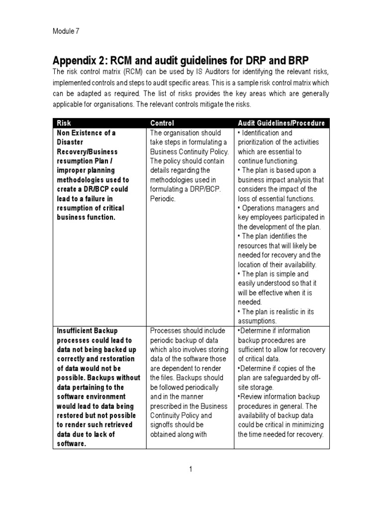 Appendix 2: RCM and Audit Guidelines For DRP and BRP | PDF | Disaster ...