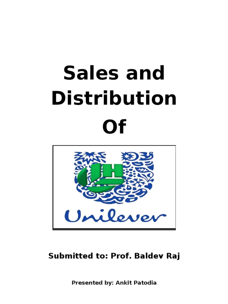 HUL Sales and Distribution Overview | PDF | Business | Economies