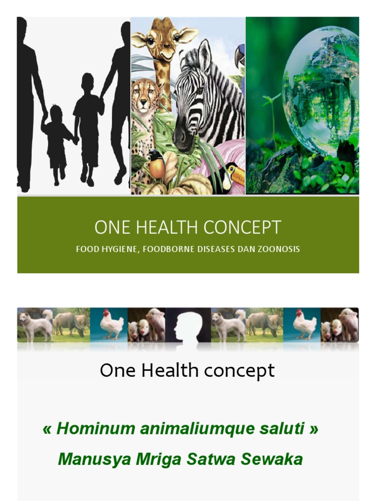 One Health PDF | PDF
