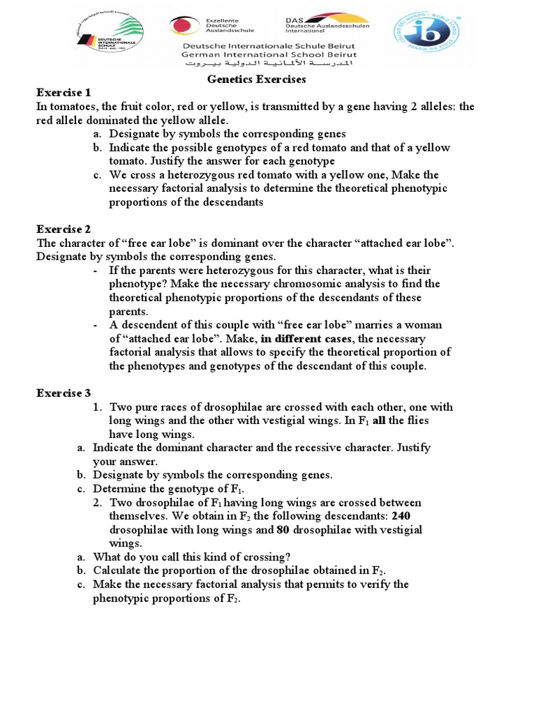 Monohybrid Exercise Genetics | PDF