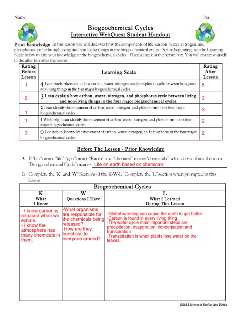 Biogeochemical Cycles WebQuest Student Handout PDF | PDF | Water Cycle ...