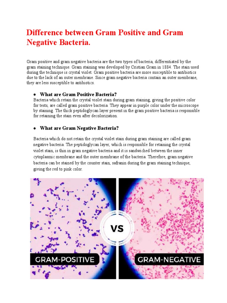 Difference Between Gram Positive and Gram | PDF | Gram Positive ...