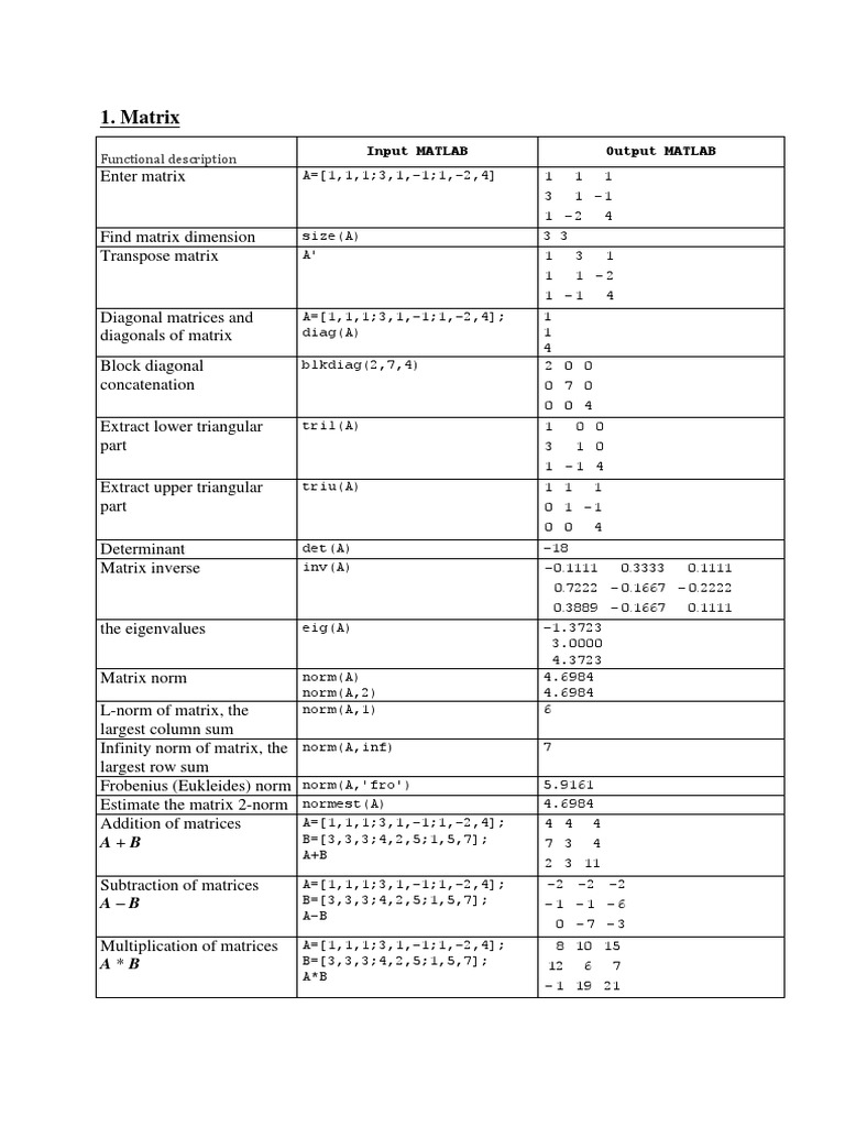 Matrix: Functional Description | PDF | Matrix (Mathematics) | Control Flow