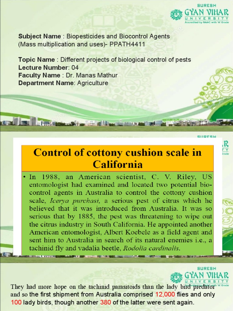 Controlling Pests Through Biological Methods: A History of Successful ...