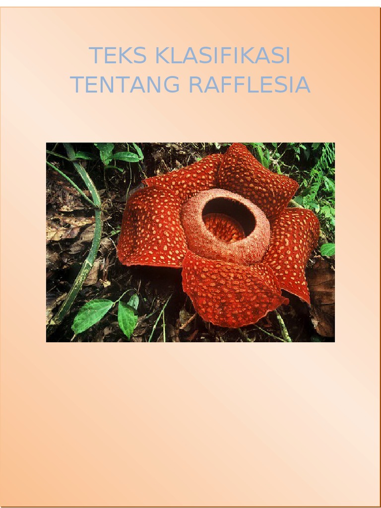 Klasifikasi Bunga Rafflesia Arnoldi | PDF | Griya & Taman