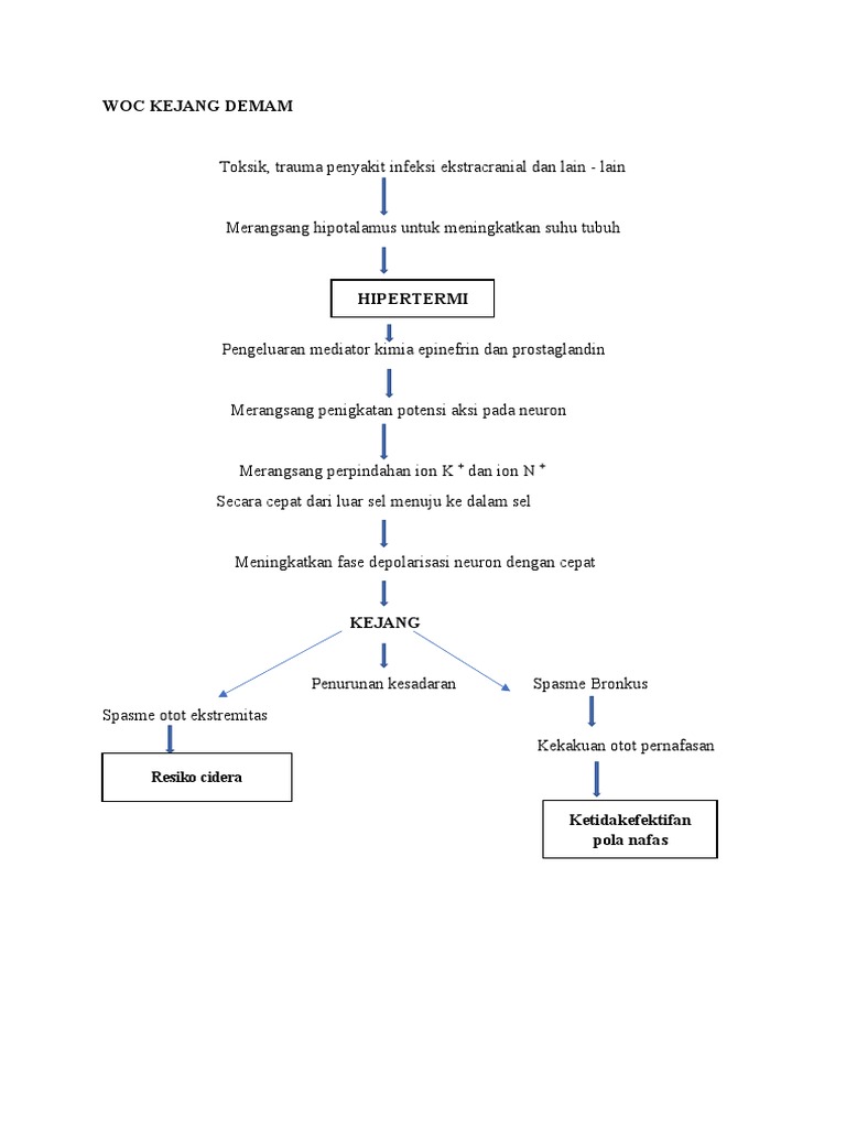 Woc Kejang Demam Lisna Imelda | PDF