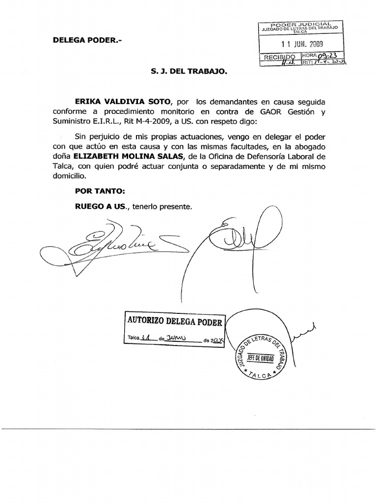 DELEGA PODER Escrito | PDF