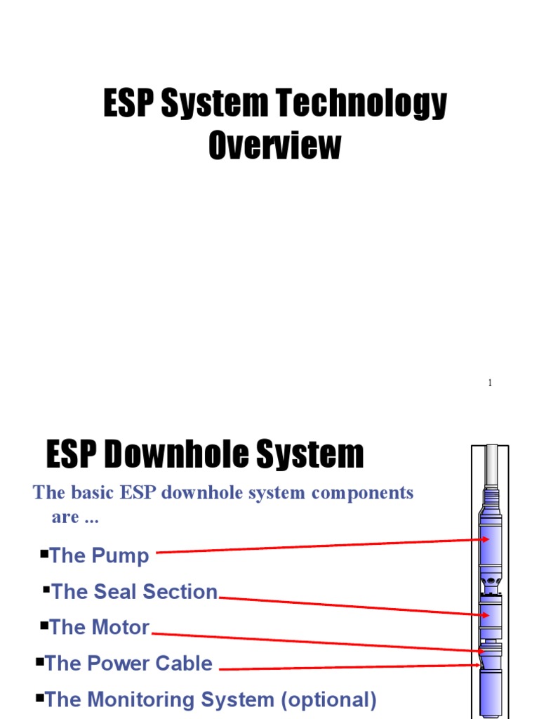 ESP System Technology Guide | PDF | Electric Motor | Pump