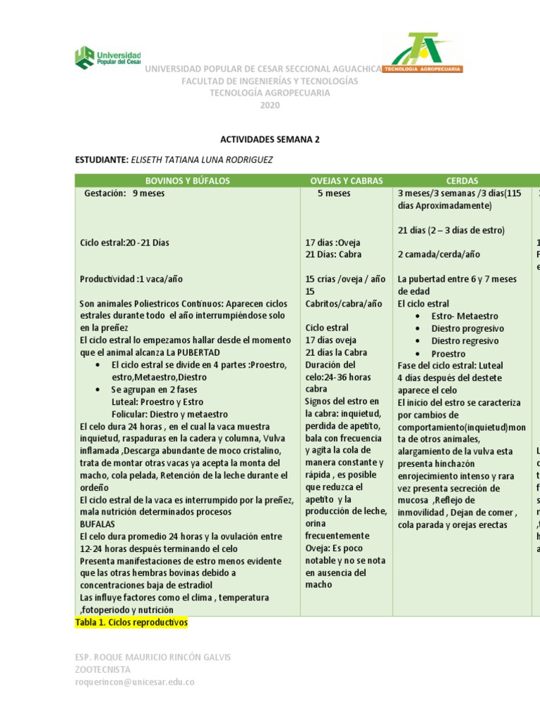 Ciclos Estrales en Ganadería 2020 | PDF | Vacas | Pubertad