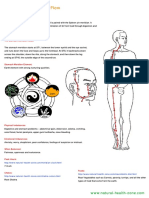 Triple Warmer Meridian Points Guide | PDF | Headache | Symptoms And Signs