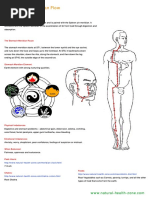 Triple Warmer Meridian Acu-Points Guide | PDF | Headache | Symptoms And ...