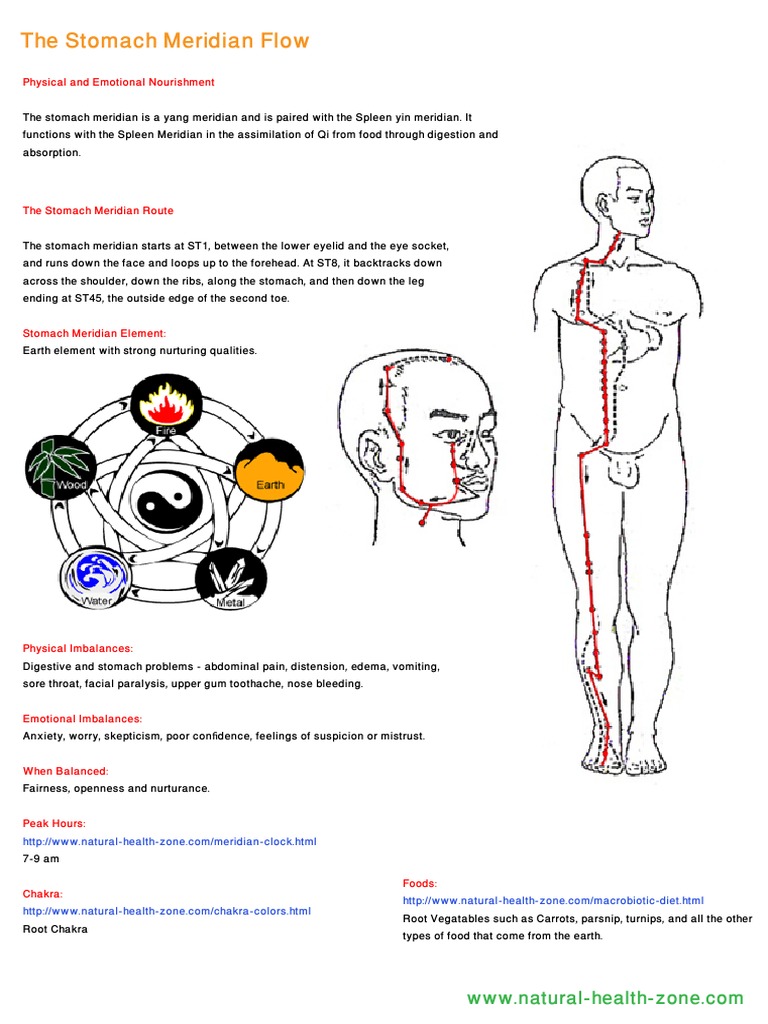 Stomach Meridian Flow | PDF | Self-Improvement | Wellness