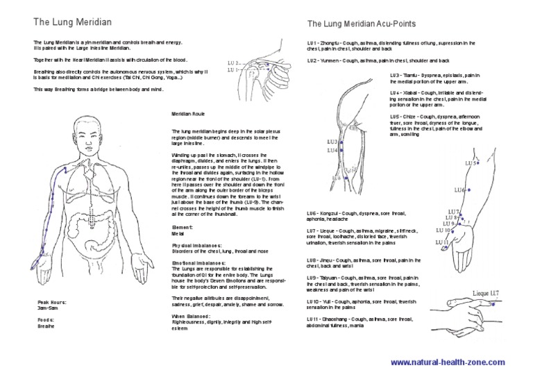 The Lung Meridian Acu-Points | PDF | Arm | Thorax