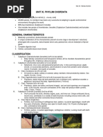 Frog Embryo Development Stages | PDF | Zoology | Developmental Biology