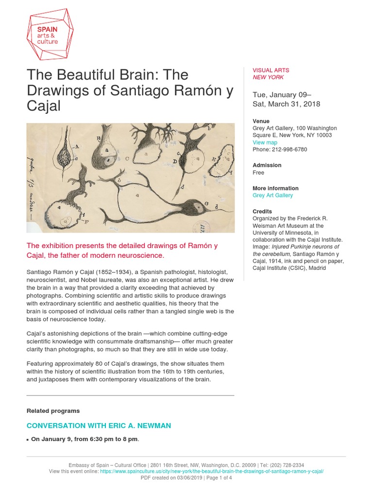 Spainculture The Beautiful Brain The Drawings of Santiago Ramon y Cajal ...