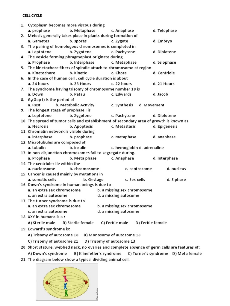 CELL CYCLE Mcqs | PDF | Meiosis | Cell Biology