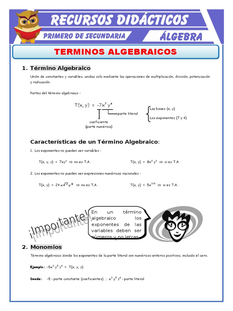 Término Algebraico para Primero de Secundaria | PDF | Matemática Elemental | Números