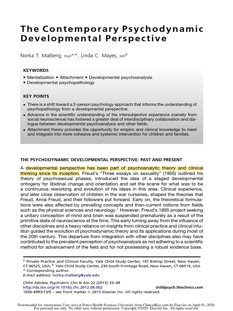 The Contemporary Psychodynamic Developmental Perspective: Norka T ...