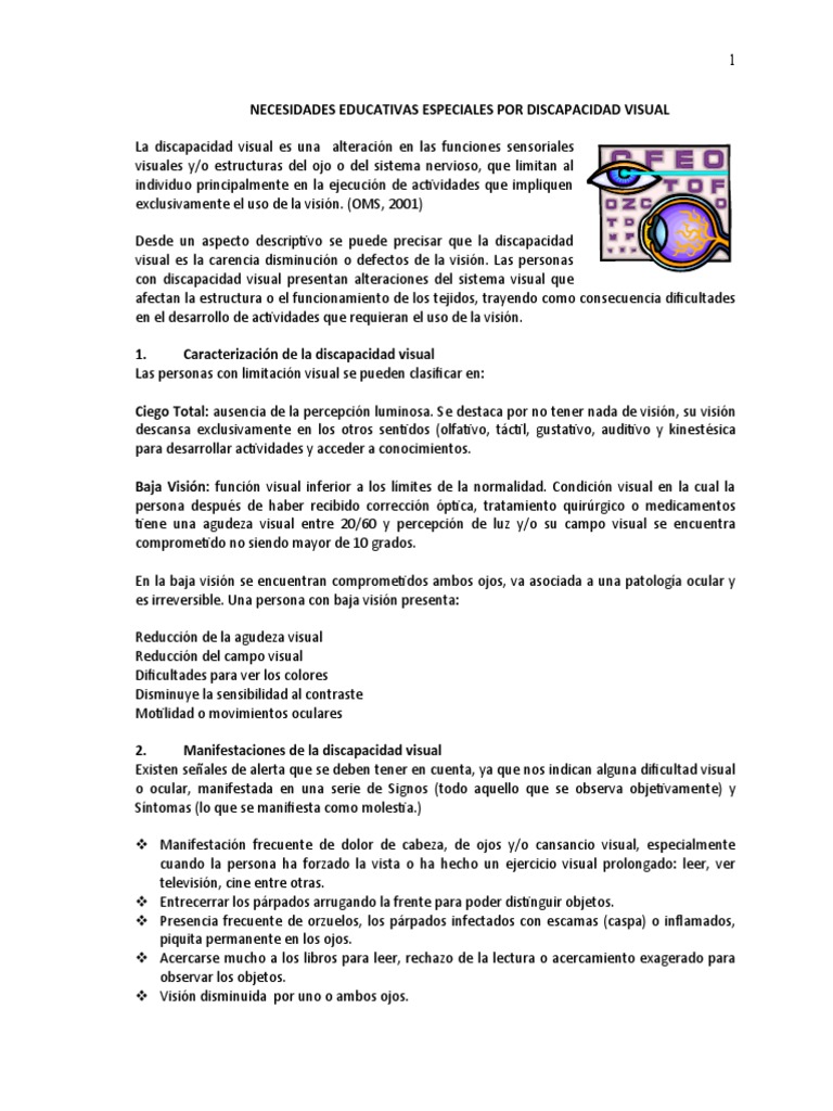 Documento Guia Discapacidad Visual | PDF | Ojo humano | Percepción visual