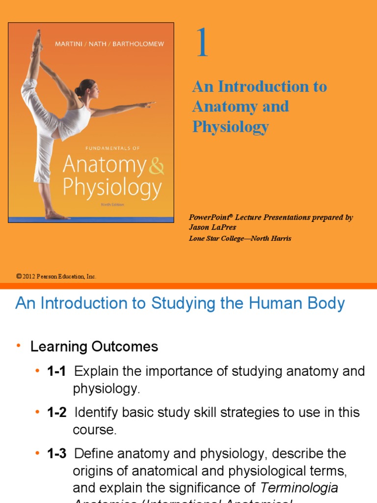 An Introduction To Anatomy and Physiology: Powerpoint Lecture ...
