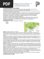 Limbo | PDF | Hoja | Botánica