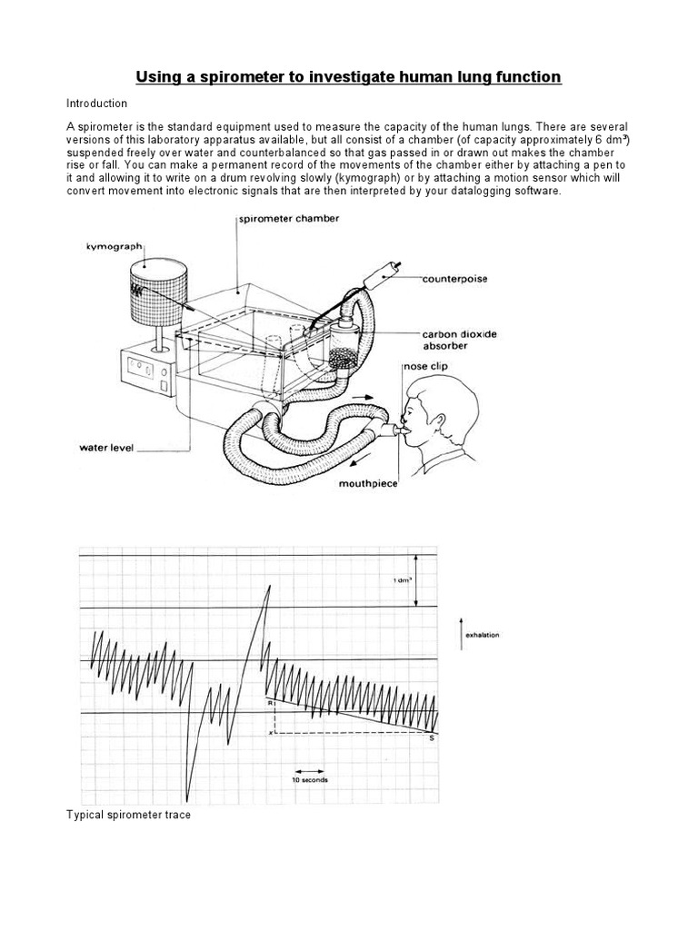 Using A Spirometer To Investigate Human Lung Function | PDF | Exhalation | Lung