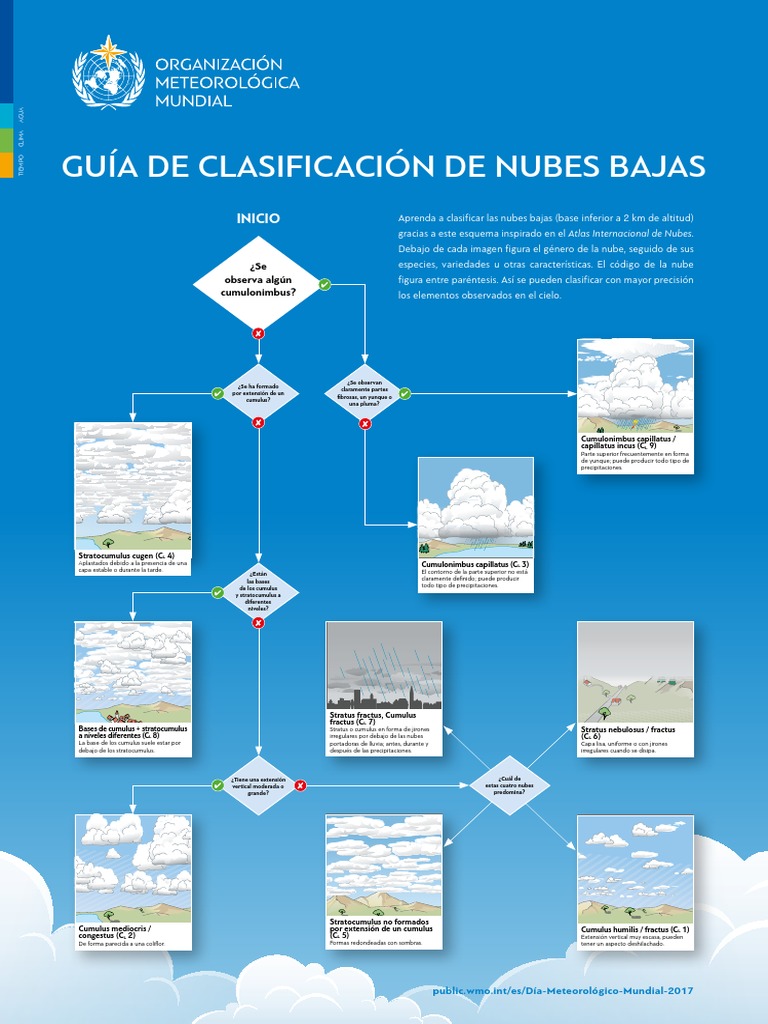 Guía de Clasificación de Nubes | PDF | Nube | Meteorología