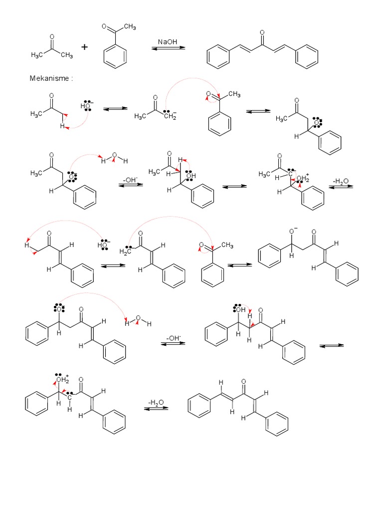 Organic Chemistry Mechanism | PDF