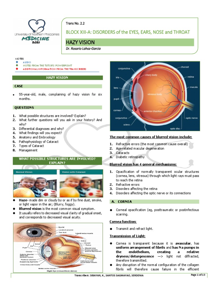 Understanding Hazy Vision: A Comprehensive Guide to Common Causes and ...