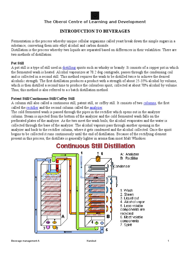 Handout Beverage | PDF | Beer | Brewing