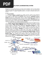 SciOly Anatomy 2025-26 CheatSheet | PDF | Central Nervous System | Hormone