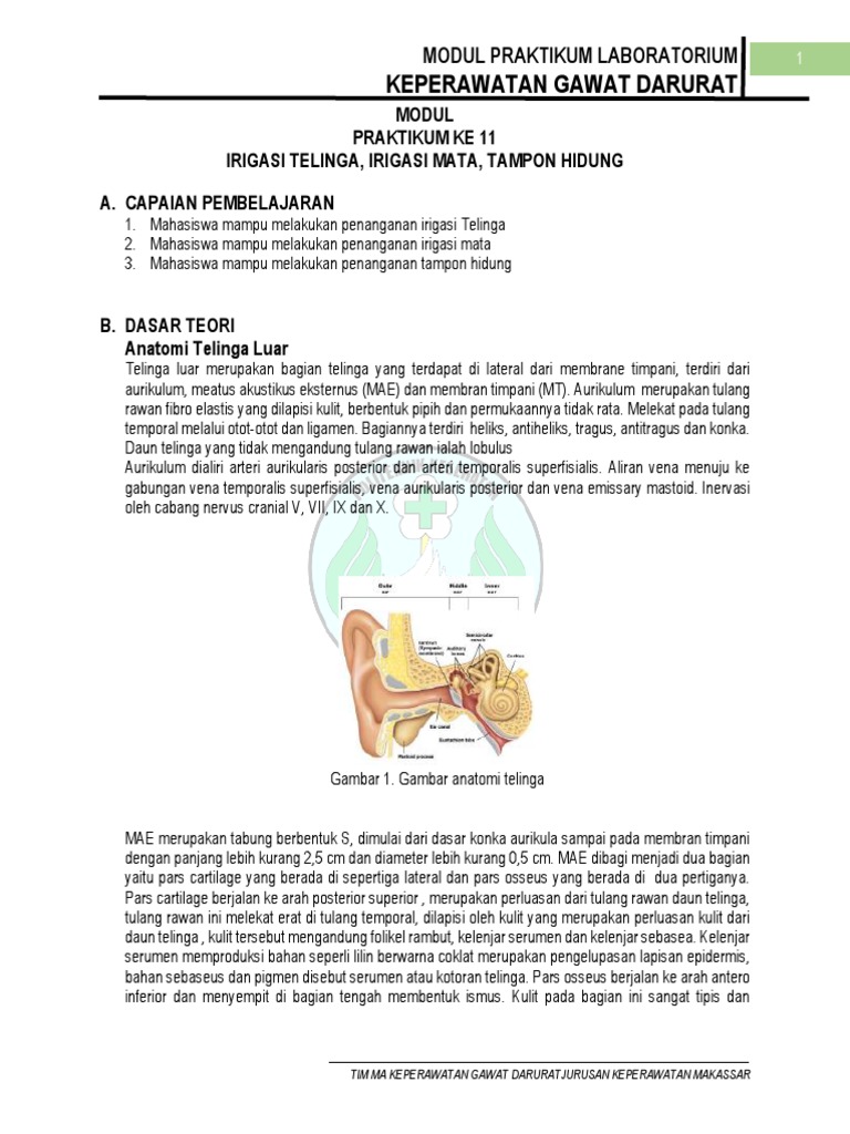 Penanganan Tampon Telinga dalam Keperawatan | PDF